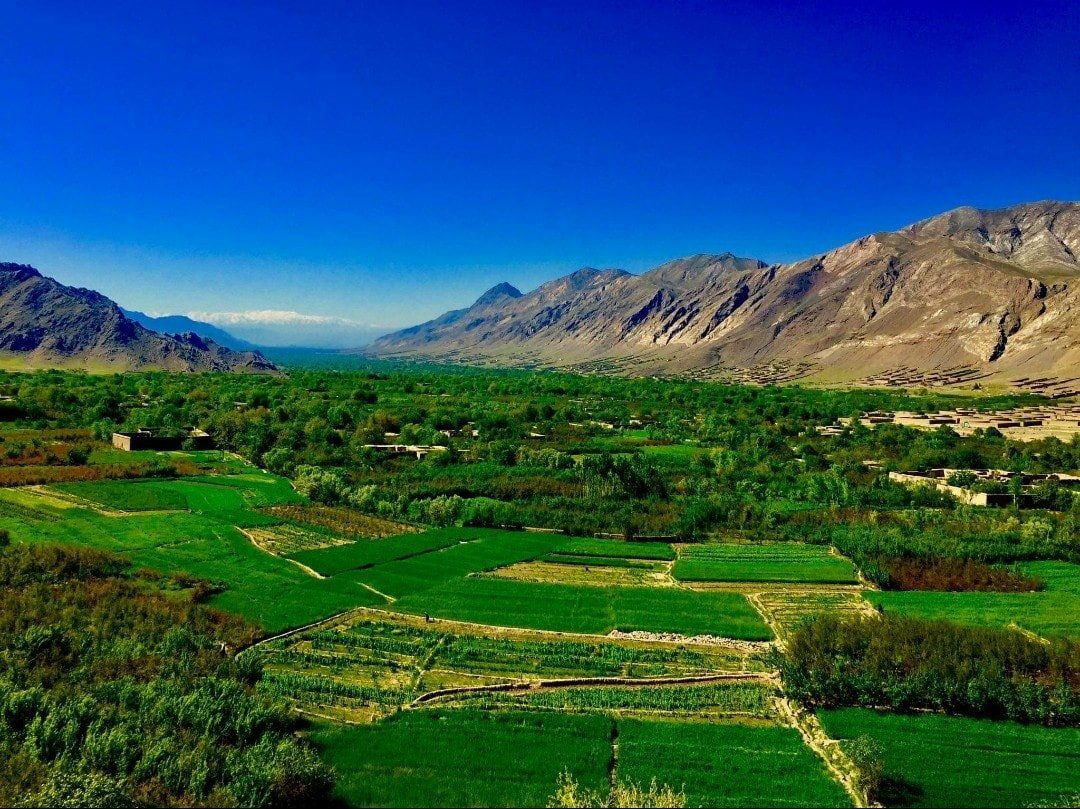 Seven Killed and Ten Injured in a Traffic Incident in Kapisa Province ...