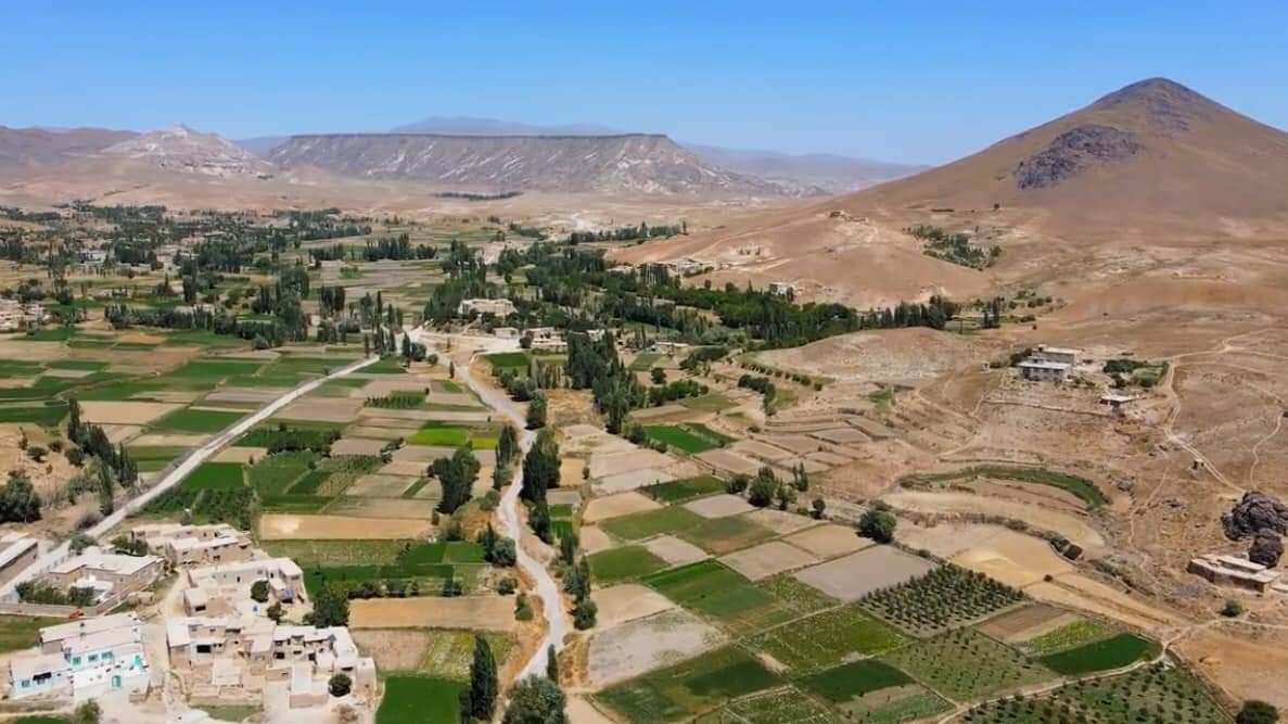 Detention of the Son of a Former Military in Ghazni by Taliban Group ...