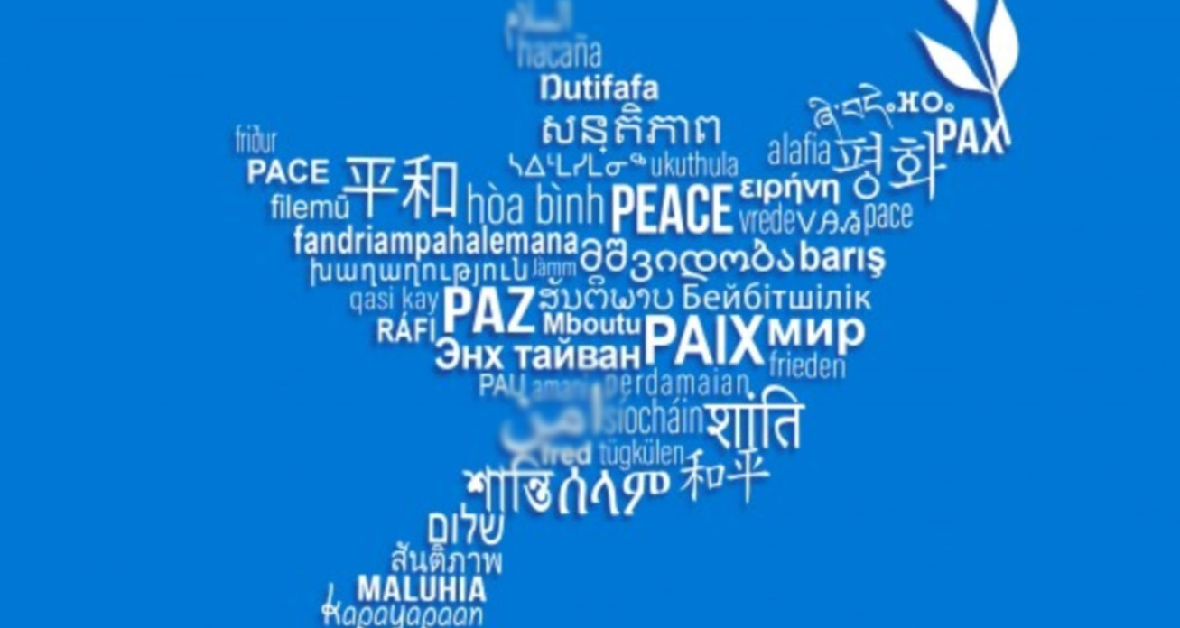 The Freedom Front Labels Taliban's Discrimination and Ethnic Bias as ...