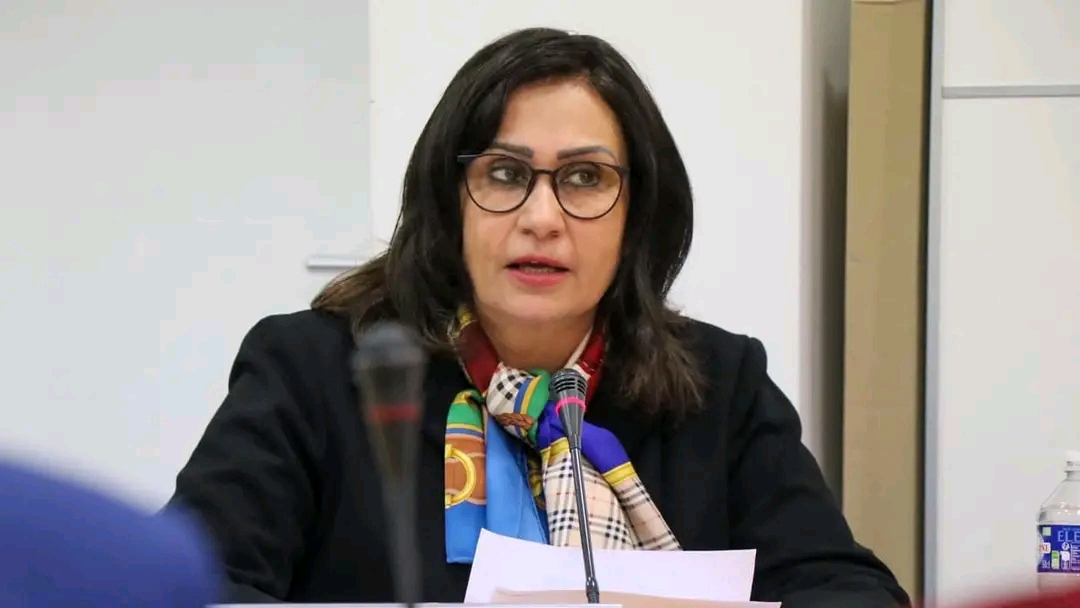 Austria Conference: Emphasis on Supporting Afghanistani Women - Rudabe ...